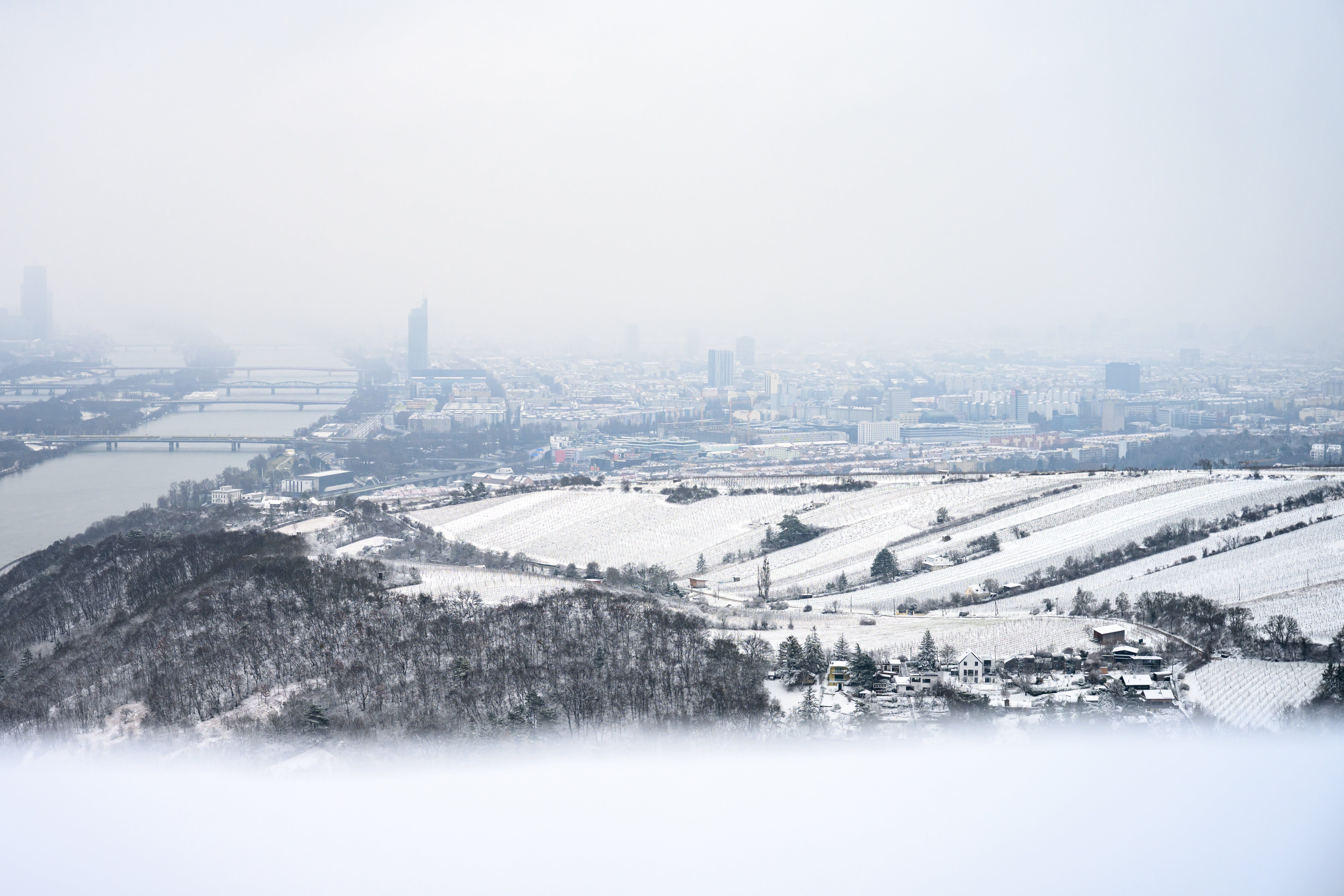 Österreich wird weiß – Schnee kommt jetzt bis nach Wien - oe24.at